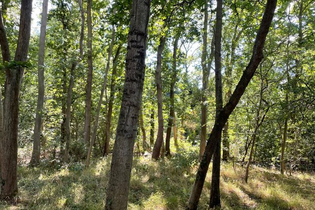 Radfall Road, Chestfield, Whitstable CT5, land for sale - 62272828 ...