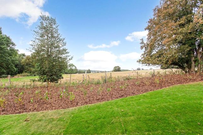 Mill View, Colchester Road CO6, 4 bedroom detached house for sale ...