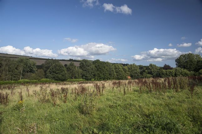Cruxton Lane, Maiden Newton, Dorchester DT2, land for sale - 68311374 ...