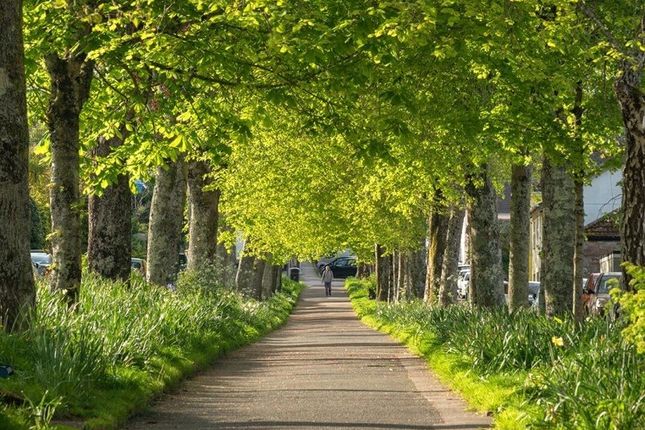 Antron Hill, Mabe Burnthouse, Penryn, Cornwall TR10, 3 bedroom detached ...