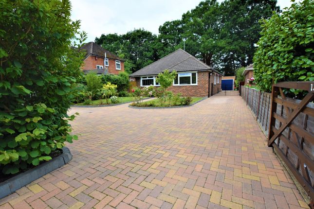 3 bed detached bungalow for sale in Prospect Road, Farnborough GU14 ...