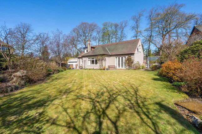 Houses for Sale in Ladeside Primary School, Falkirk, FK5 - Ladeside ...