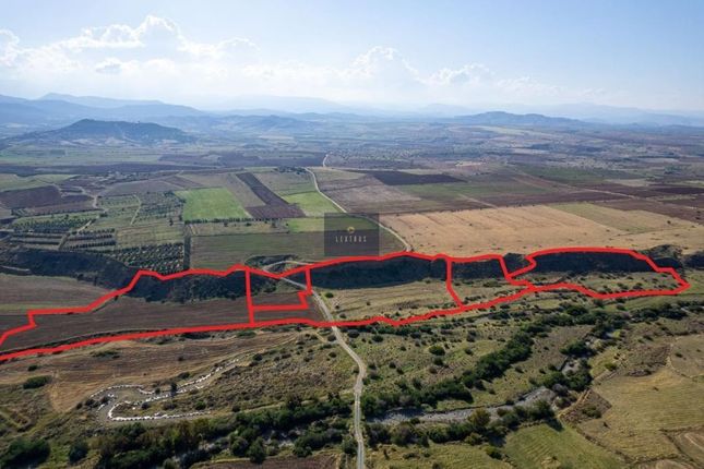 Kato Koutrafas 2770, Cyprus, land for sale - 66126186 | PrimeLocation