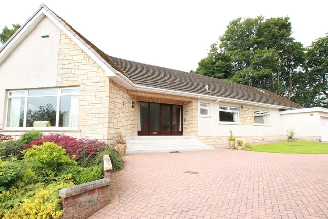 Houses for Sale in Bothwell - Bothwell Houses to Buy - Primelocation