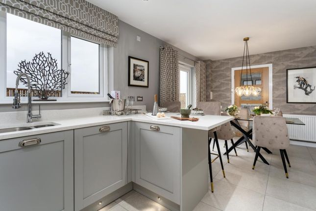 "The Lomond" at The Wisp, Edinburgh EH16, 4 bedroom detached house for ...
