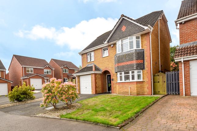Skylands Rise, Hamilton ML3, 4 bedroom detached house for sale ...
