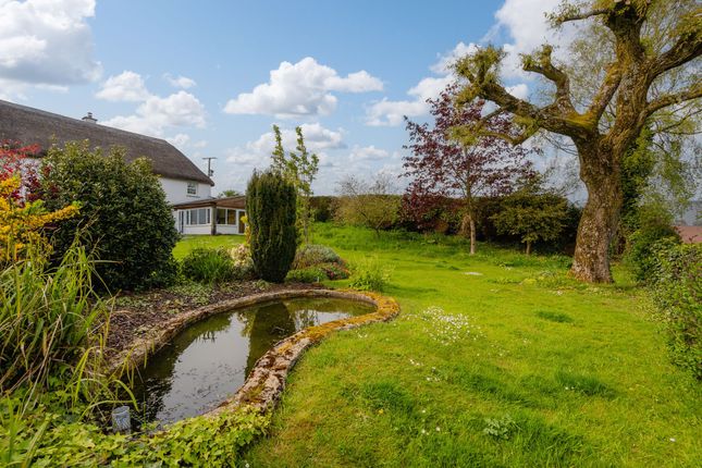 Bow, Crediton EX17, 4 bedroom detached house for sale - 67378273 ...