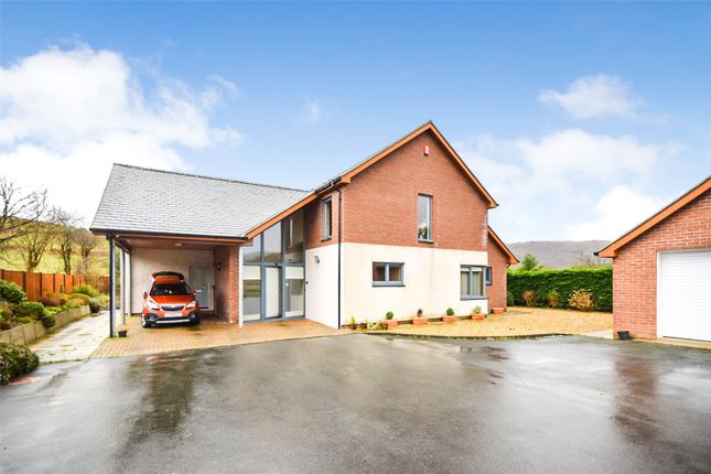Living Room Treehouse Cemmaes Machynlleth Powys | Baci Living Room