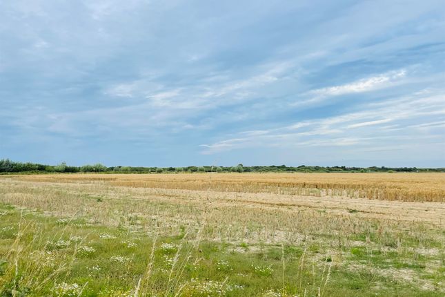 Horsey Corner, Horsey, Great Yarmouth NR29, 2 bedroom terraced house ...