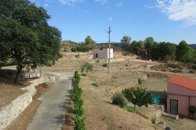 Flix, Flix, Tarragona, Catalonia, Spain, 3 bedroom farmhouse for sale ...