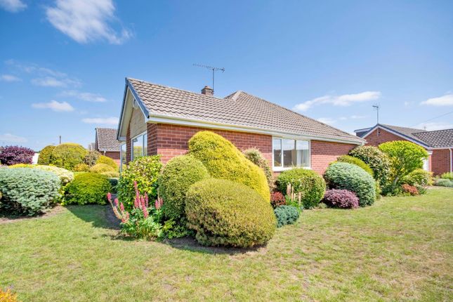 Lime Tree Crescent, Bawtry, Doncaster DN10, 3 bedroom detached bungalow ...