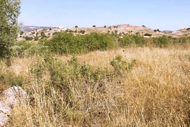 Lemona, Paphos, Cyprus, land for sale - 62593562 | PrimeLocation