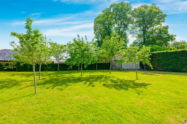 The Street, Long Sutton, Hook, Hampshire RG29, 2 bedroom detached house ...