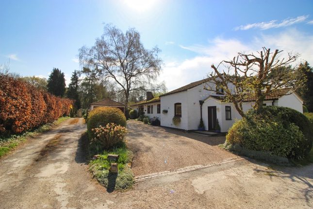 Platt Common, St Mary's Platt TN15, 4 bedroom detached bungalow for ...