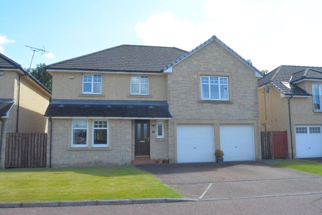 Houses for Sale in Falkirk - Falkirk Houses to Buy - Primelocation