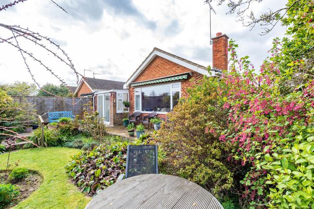 Woodlands, Chelmondiston, Ipswich IP9, 2 bedroom semi-detached bungalow ...