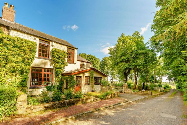 Homes for Sale in Morpeth - Buy Property in Morpeth - Primelocation