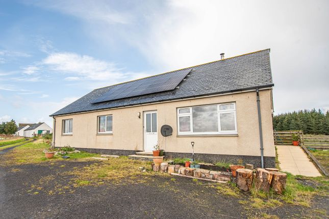Homes for Sale in Caithness - Buy Property in Caithness - Primelocation