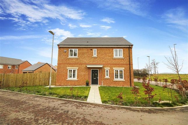 Houses for Sale in Blyth, Northumberland - Blyth, Northumberland Houses ...