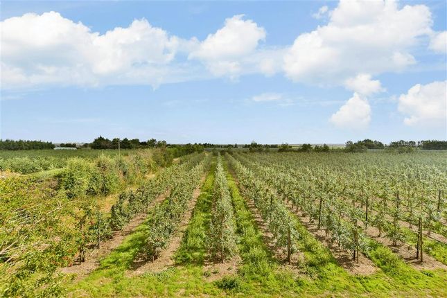 Ham Green, Upchurch, Sittingbourne, Kent ME9, 4 bedroom detached house ...