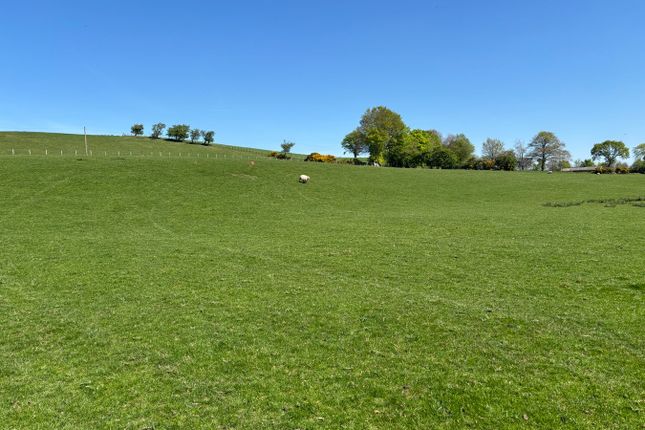 Llangeitho, Tregaron SY25, farm for sale - 70289996 | PrimeLocation