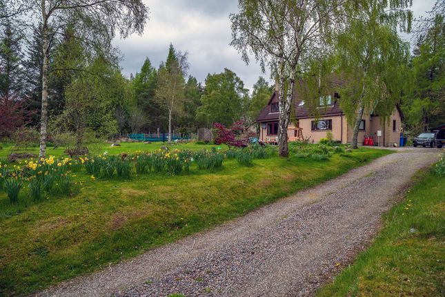 Gorthleck, Inverness IV2, 6 bedroom country house for sale - 64609755 ...