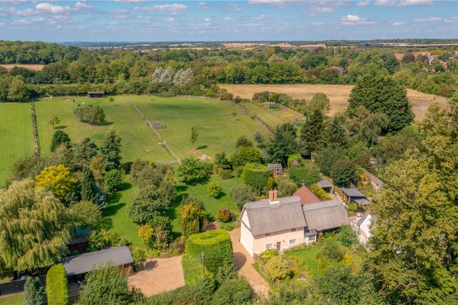 Church Street, Little Gransden, Sandy, Bedfordshire SG19, 3 bedroom ...