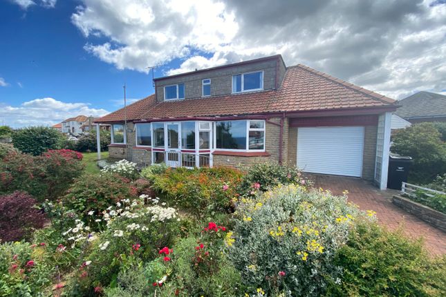 Whitby, North Yorkshire bungalows for sale | Buy houses in Whitby ...