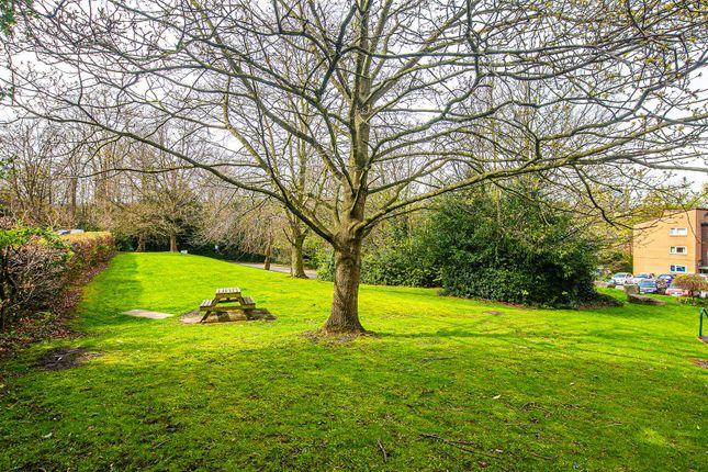 Porter Brook View, Sharrow Vale S11, 2 bedroom flat for sale - 67144143 ...