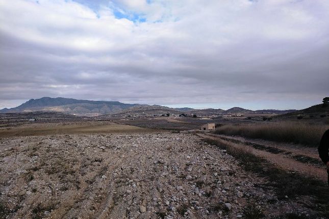 30529 Torre Del Rico, Murcia, Spain, land for sale - 54876152 ...