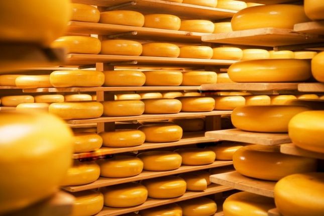 Cheese Industry, Seia, Guarda, Central Portugal, industrial for sale ...