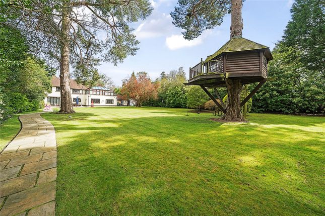 Homes for Sale in Keston - Buy Property in Keston - Primelocation