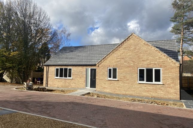 New home, 3 bed bungalow for sale in Magnolia Close, Gaul Road, March ...