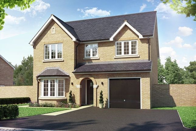 Buckden Road, Brampton, Huntingdon PE28, 4 bedroom detached house for ...