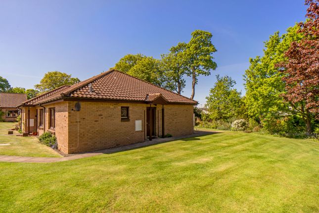 Homes for Sale in Gullane - Buy Property in Gullane - Primelocation