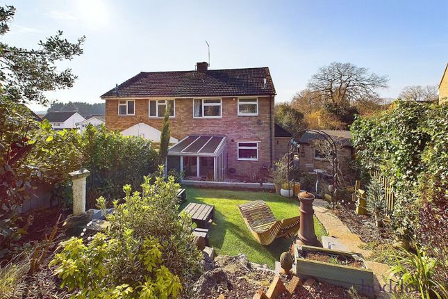 Malus Drive, Addlestone, Surrey KT15, 3 bedroom semi-detached house for ...