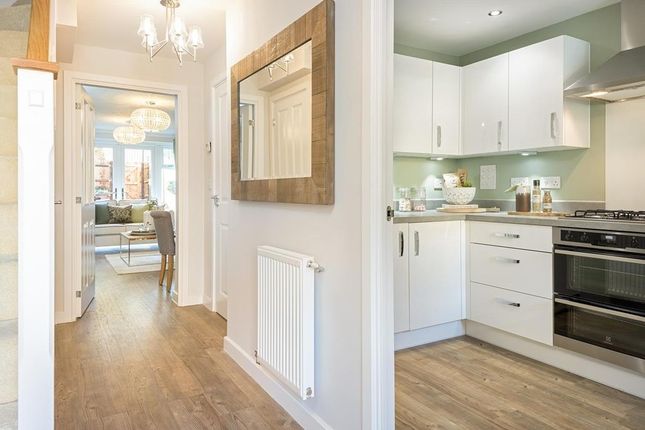 New home, 3 bed terraced house for sale in "Bonnyton" at Prestongrange ...