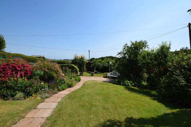 Dunchideock, Exeter EX6, 3 bedroom cottage for sale - 55762172 ...