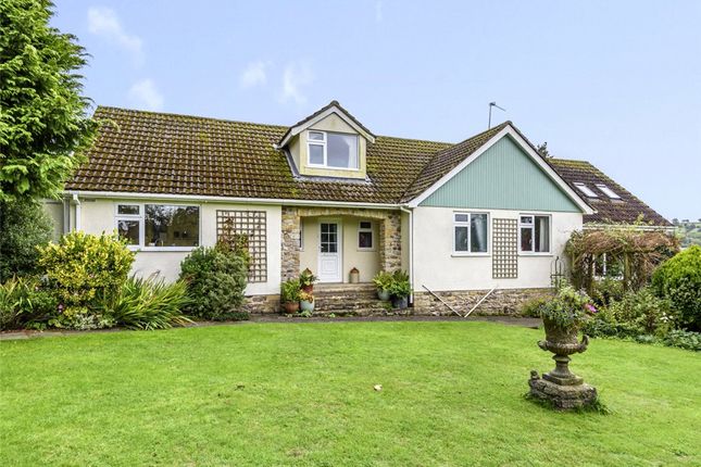 Chardstock, Axminster, Devon EX13, 5 bedroom detached house for sale - 64347200 | PrimeLocation