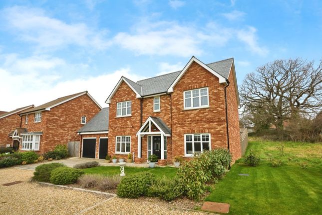 Willow Gardens, Ryde, Isle Of Wight PO33, 4 bedroom detached house for ...