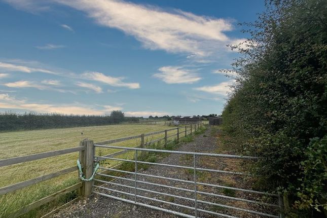 Crowle Moors, Crowle, Scunthorpe DN17, equestrian property for sale ...