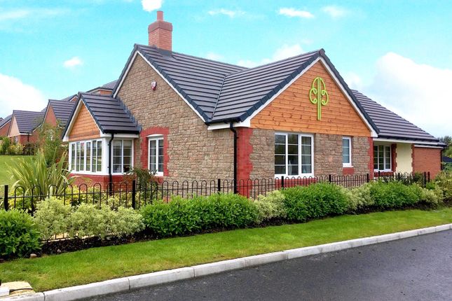 Bee Meadow, North Road, South Molton, Devon EX36, 3 bedroom bungalow ...