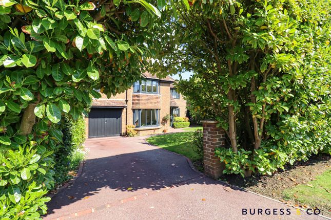 Collington Rise, Bexhill-On-Sea TN39, 4 bedroom detached house for sale ...