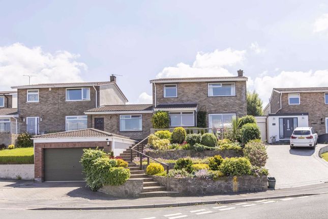 Homes for Sale in Portishead - Buy Property in Portishead - Primelocation