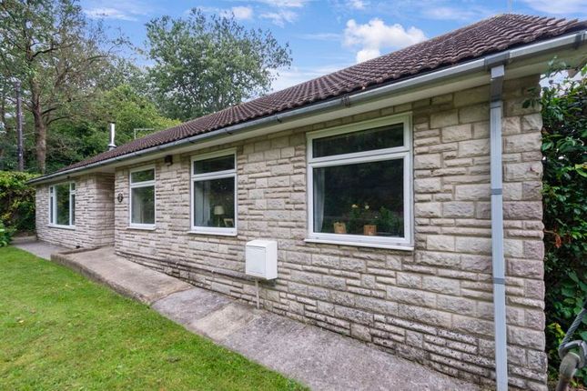 Park Grove, Stalbridge, Sturminster Newton DT10, 4 bedroom detached ...