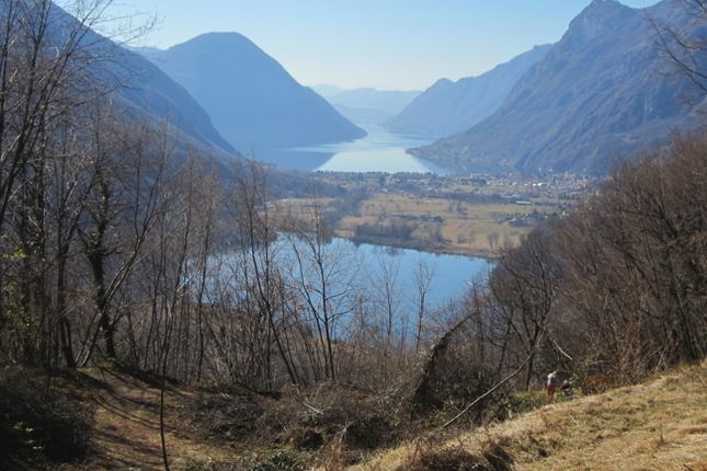 22010, Carlazzo, Italy, land for sale - 64752154 | PrimeLocation