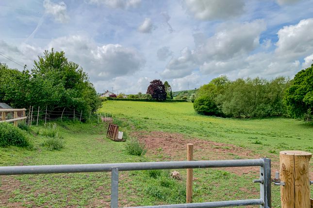 Photos of Llangarron, Ross-On-Wye HR9 - 61558335 | PrimeLocation