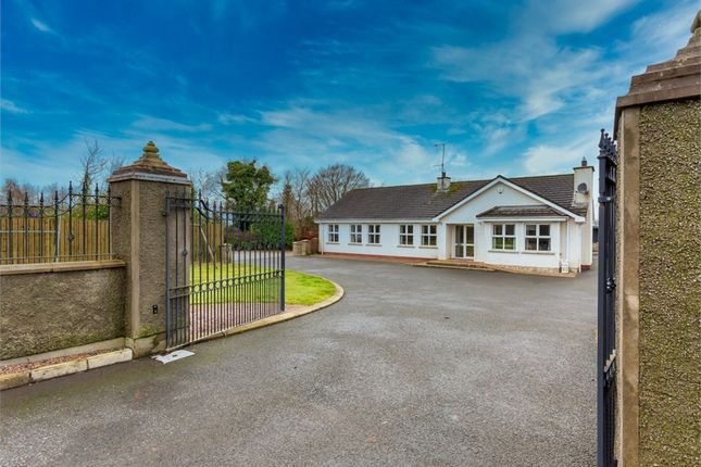 Homes for Sale in Chapel Hill, Mayobridge, Newry BT34 - Buy Property in ...