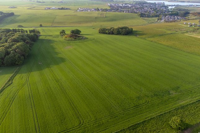 Lot 3 - Field At Foveran, Newburgh, Ellon, Aberdeenshire AB41, land for ...