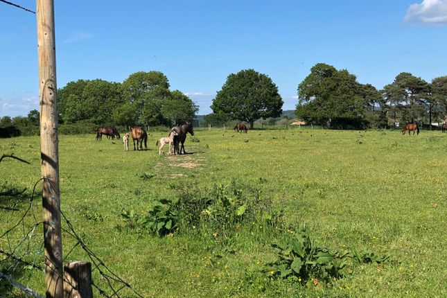 Fryern Court Road, Burgate, Fordingbridge SP6, land for sale - 61146860 ...